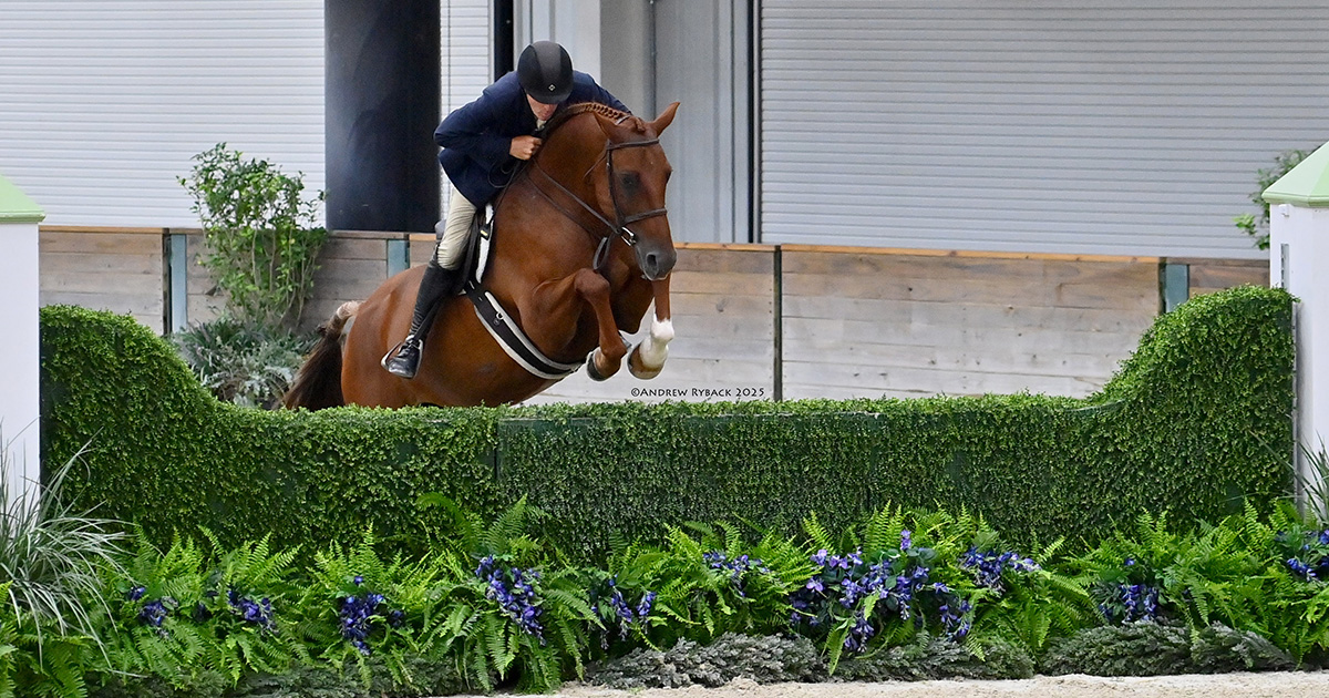 Daniel Geitner and Walk The Moon Land on Top in the $12,500 Golden ...