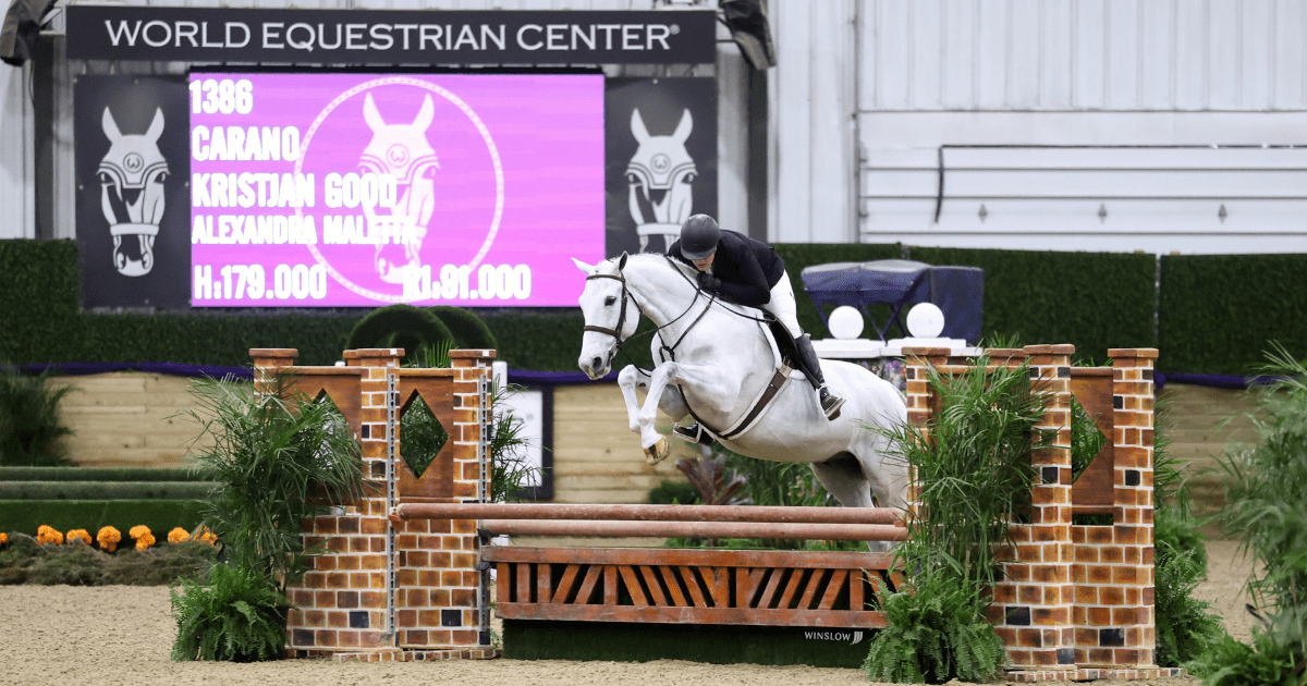 Save the Date for the 2025 Winter in the Midwest Series at World ...
