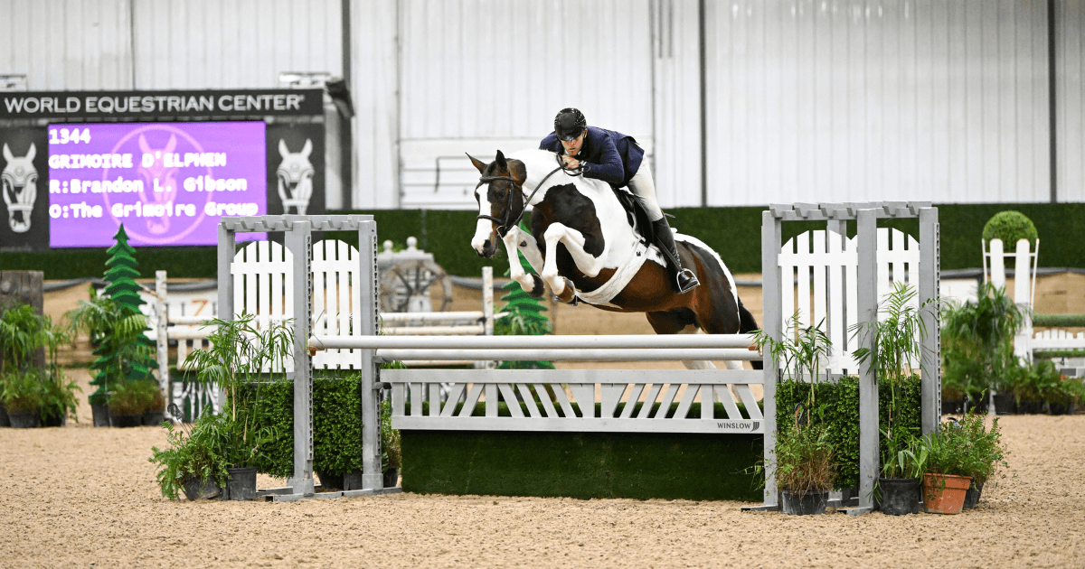 Wilmington Sunday Spotlight: Grimoire d’Elphen | World Equestrian Center