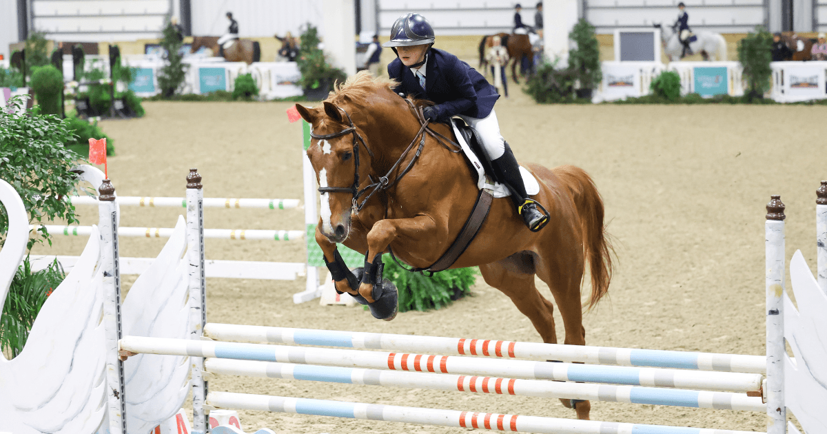 Wilmington Sunday Spotlight: Aiden Clark | World Equestrian Center
