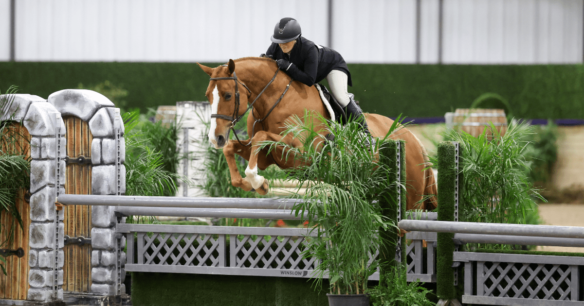 Schatt Scores Second Consecutive $15,000 Shires Equestrian USHJA ...