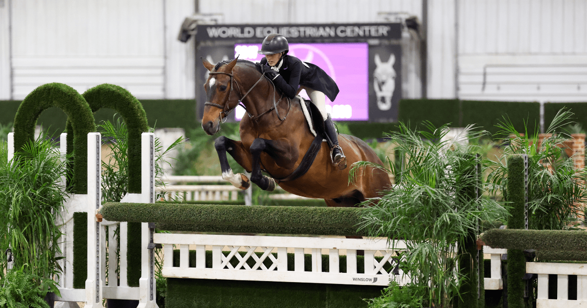 $45,000 Young Jumper Championship Steals Spotlight at World Equestrian ...