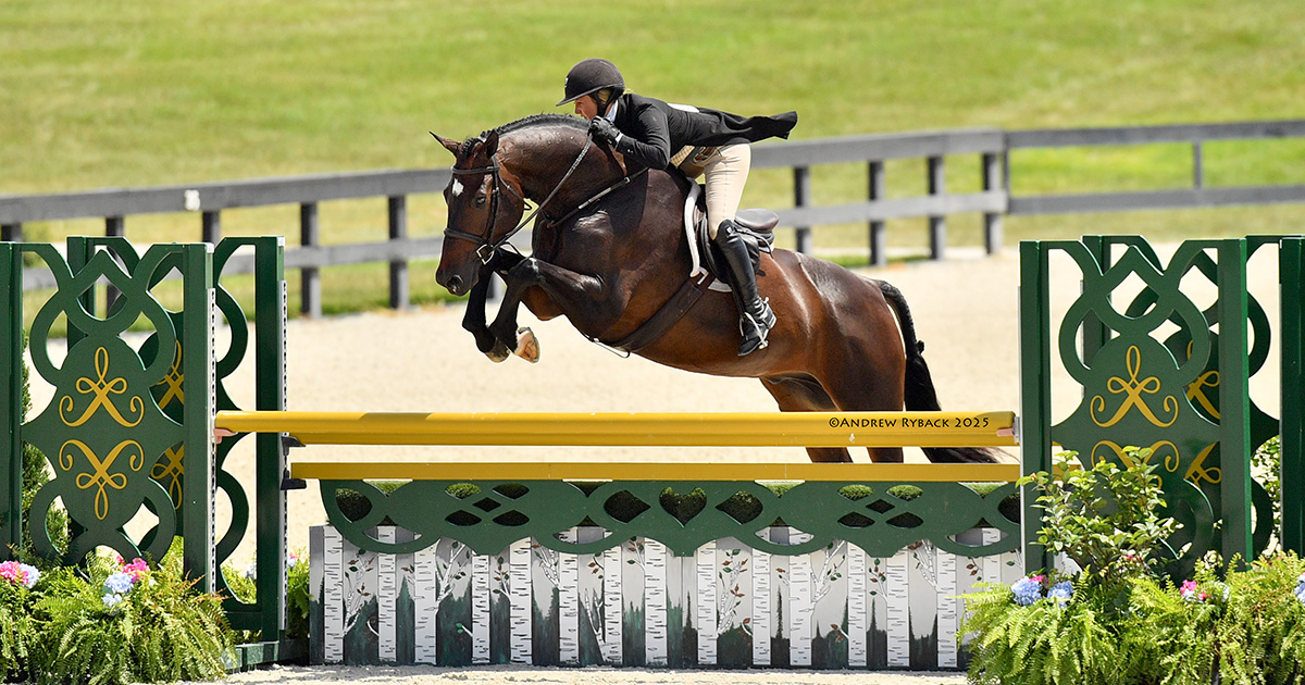 Lauren Patterson and FPF Idefix Shine in the $12,500 Golden Ocala 3’6 ...