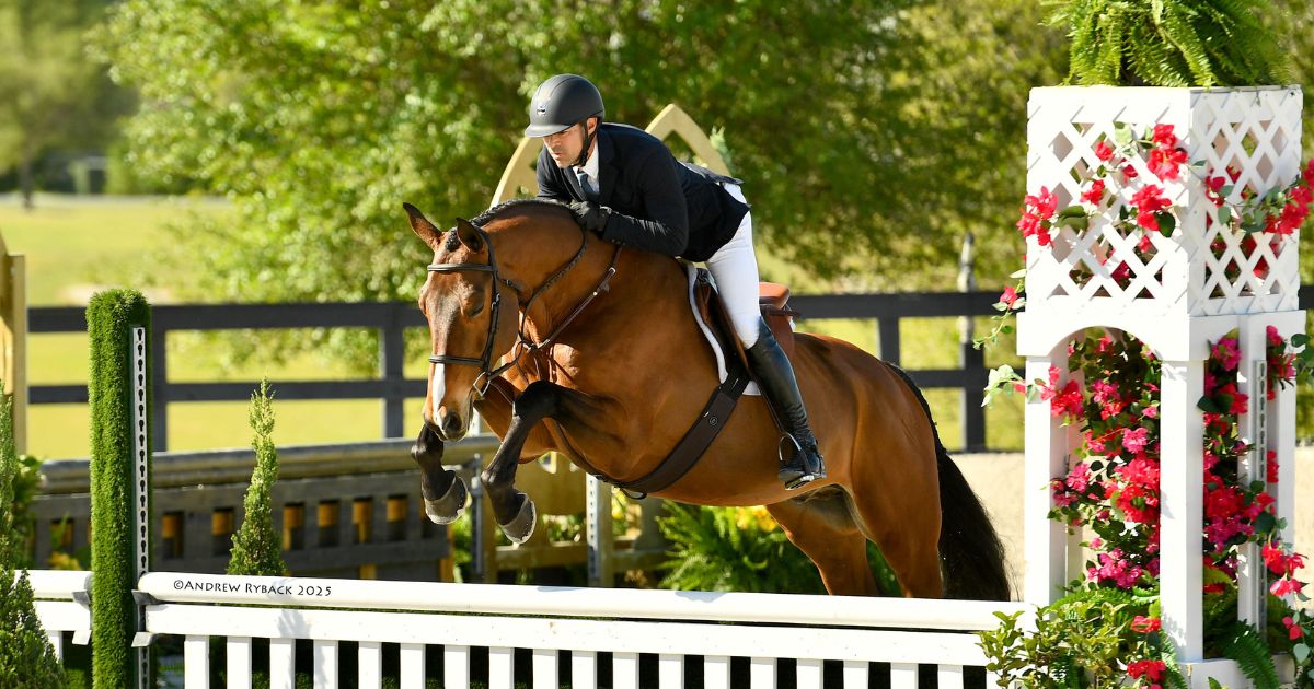 Josh Dolan Double Dips in $5,000 UF Veterinary Hospital USHJA National ...