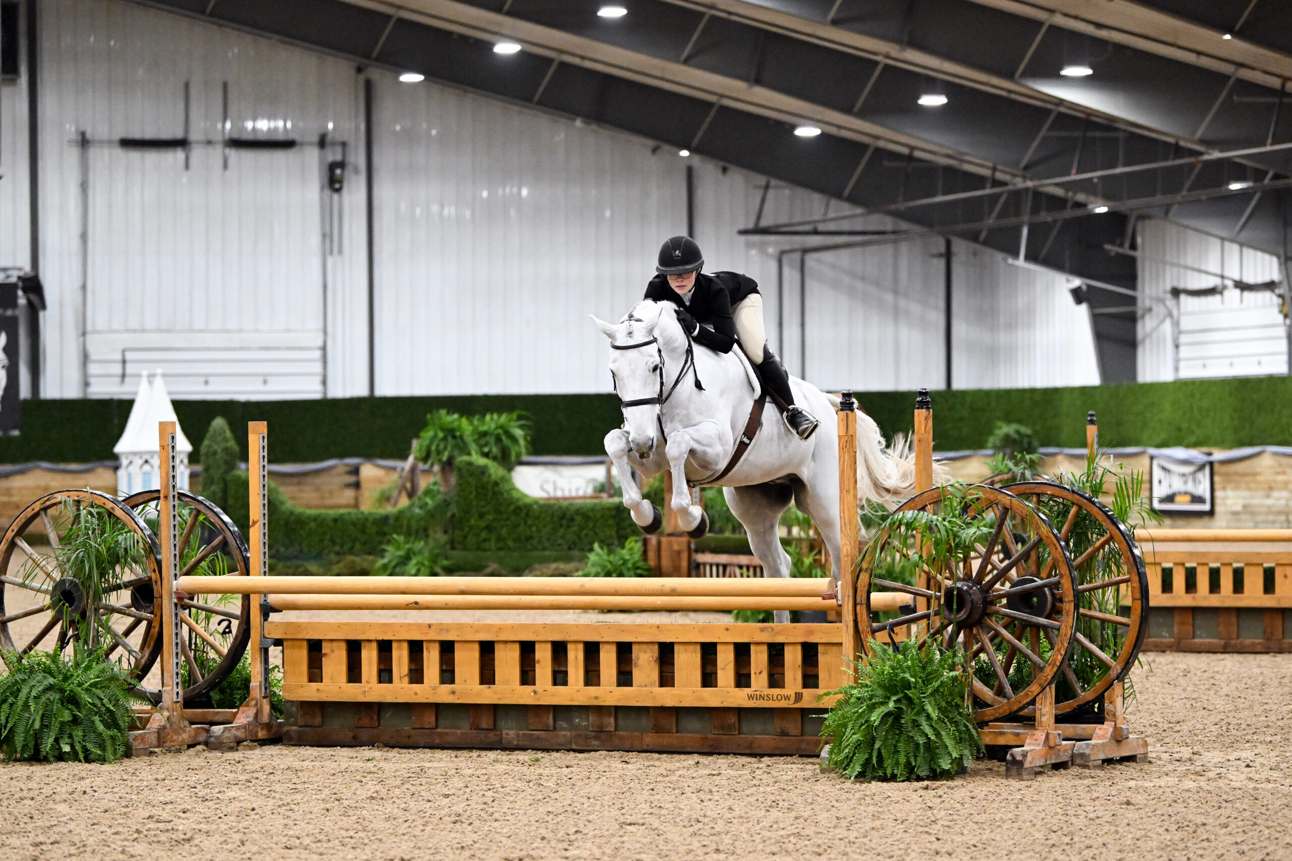 Kristjan Good & Lordy Clinch Victory in the $15,000 Kerrits USHJA ...