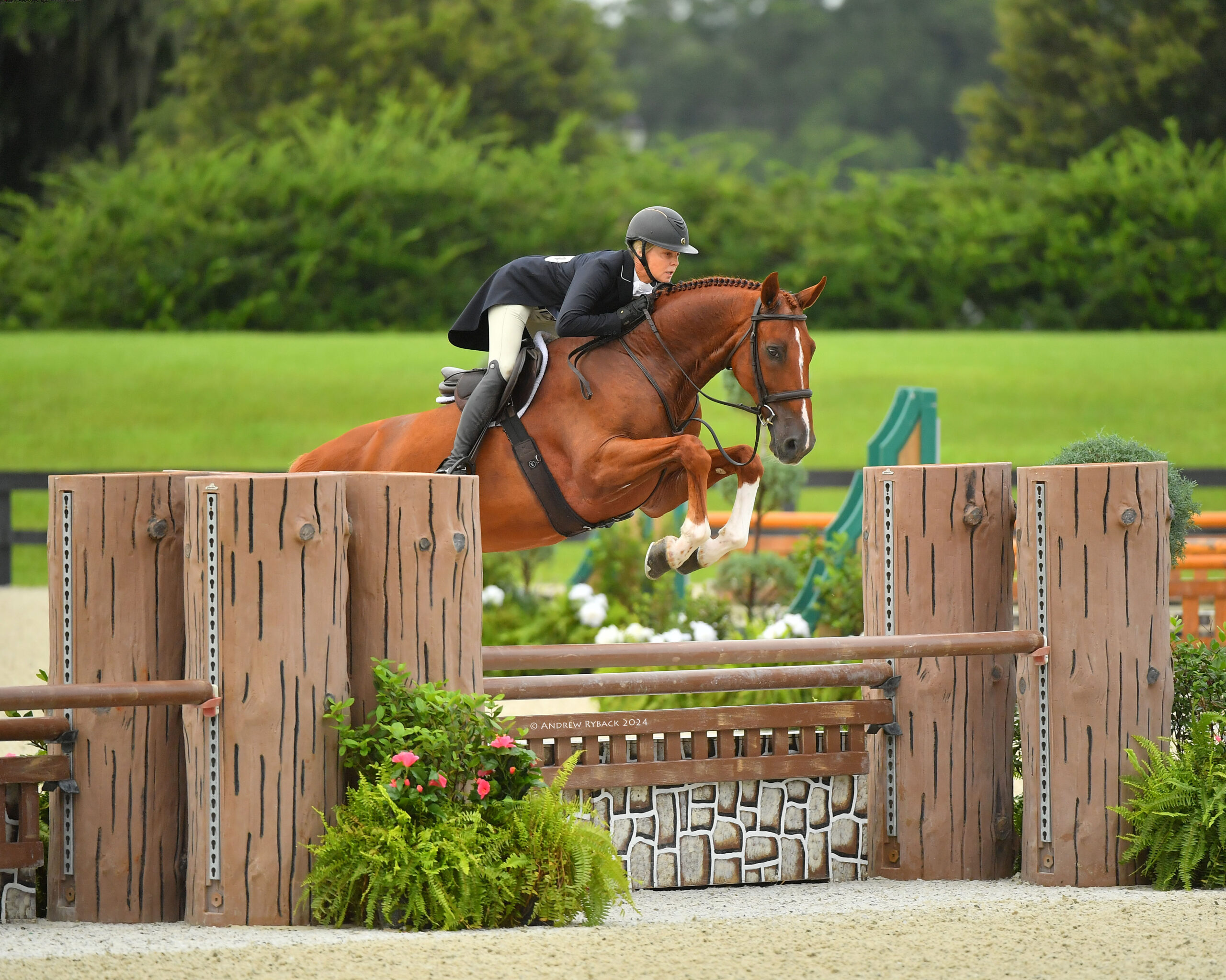 Summer Series | Ocala Horse Shows | World Equestrian Center | World ...