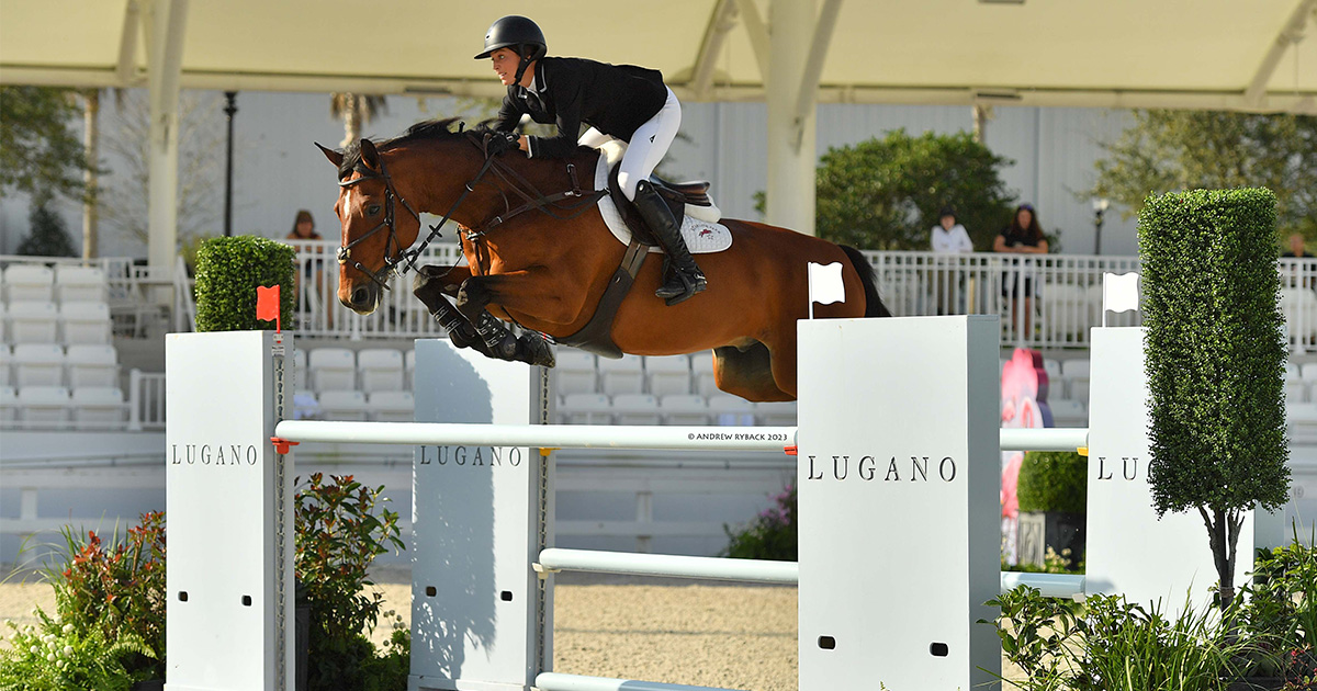 Ocala Sunday Spotlight: Adelaide Toensing, AT Sporthorses LLC | World ...