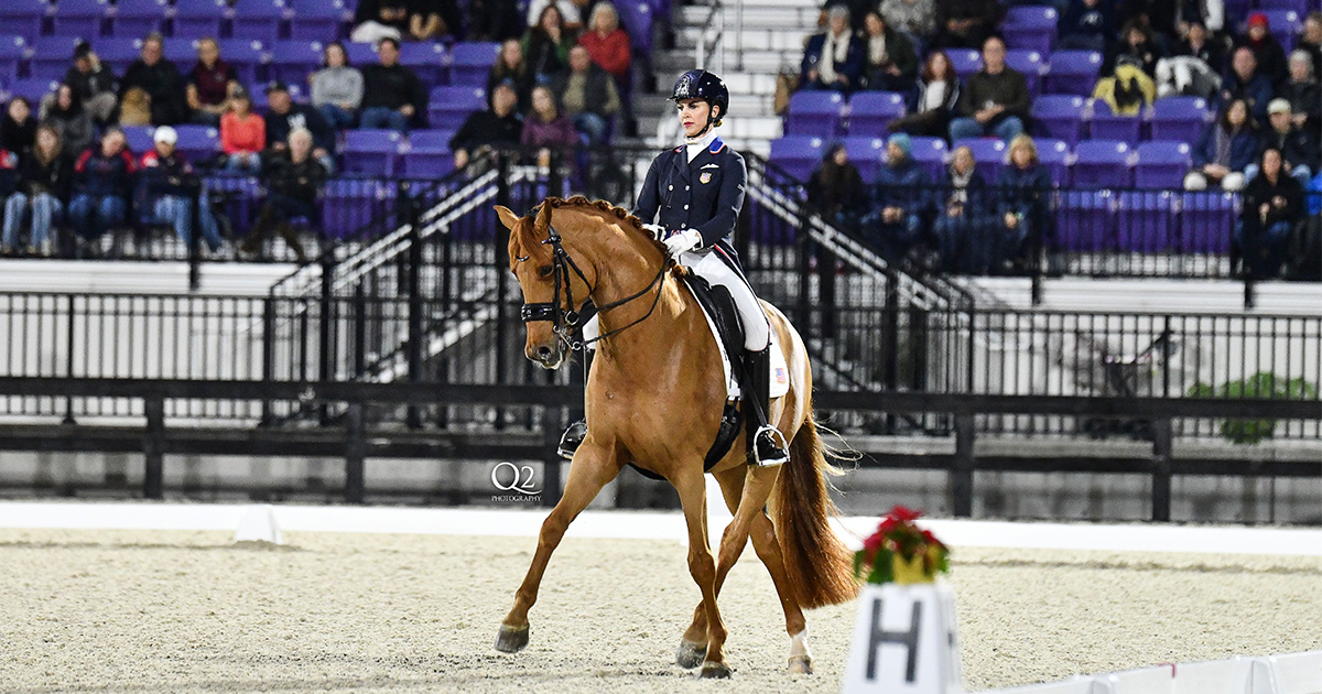 Enter Now for World Equestrian Center April Dressage CDI3* | World ...