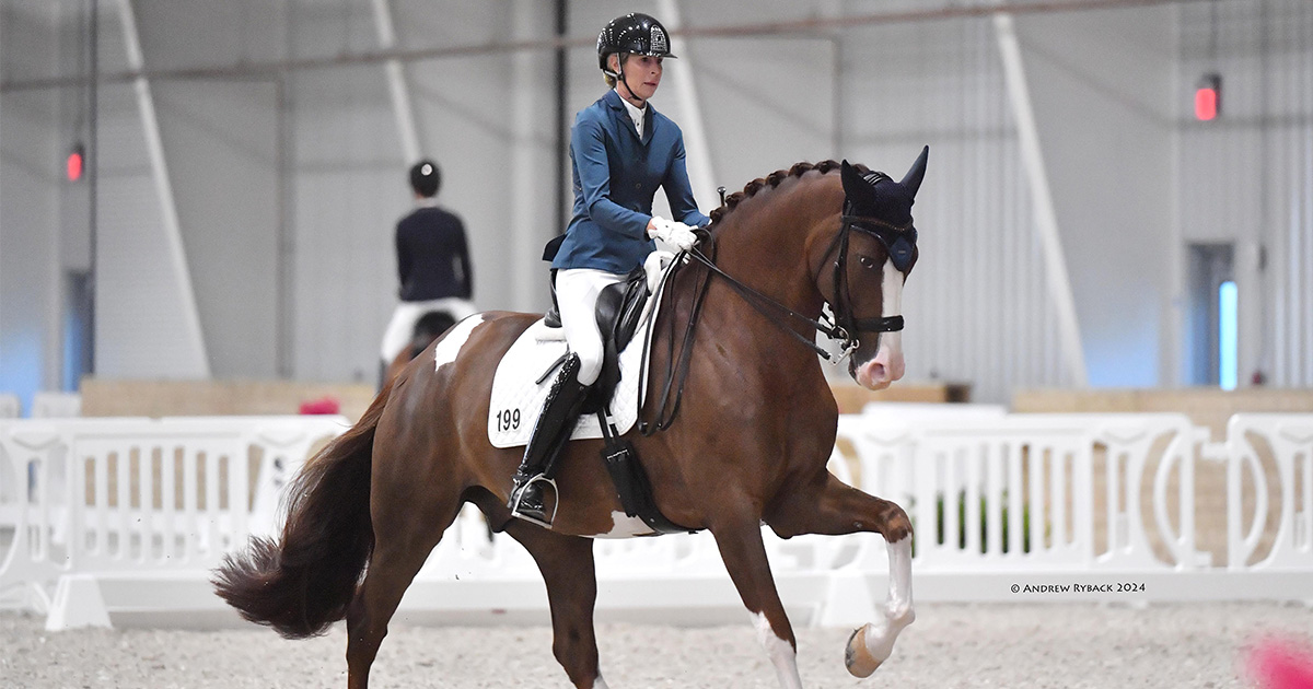 Enter Now for World Equestrian Center November CDI3* and National ...