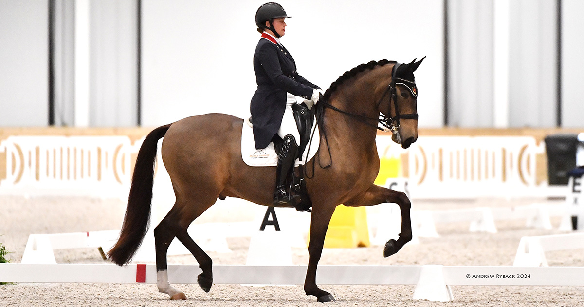 Dressage Returns in 2025 at World Equestrian Center – Ocala January ...