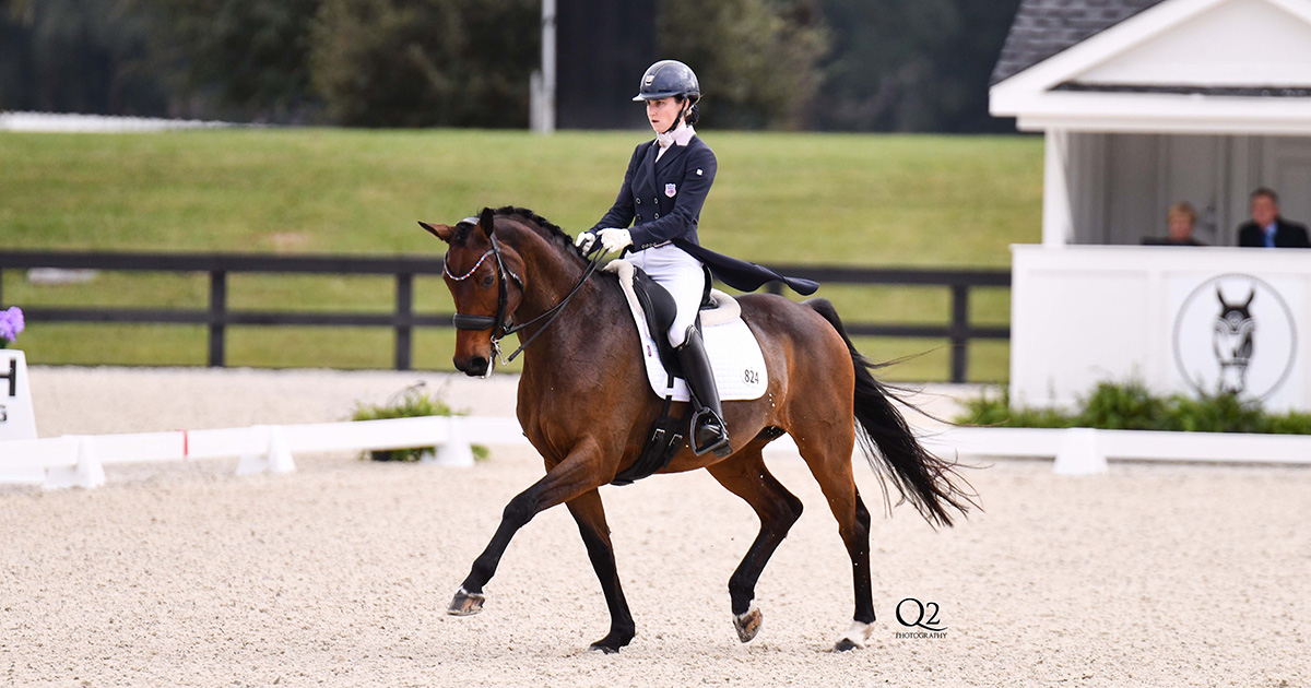 What’s Happening this Week at World Equestrian Center – Ocala | World ...