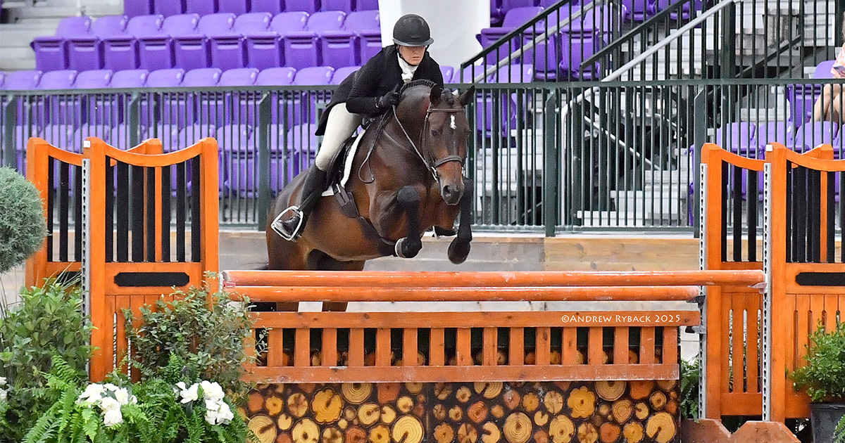 SVF Changeup Shines with Maria Rasmussen in $12,500 Golden Ocala 3’6”-3 ...