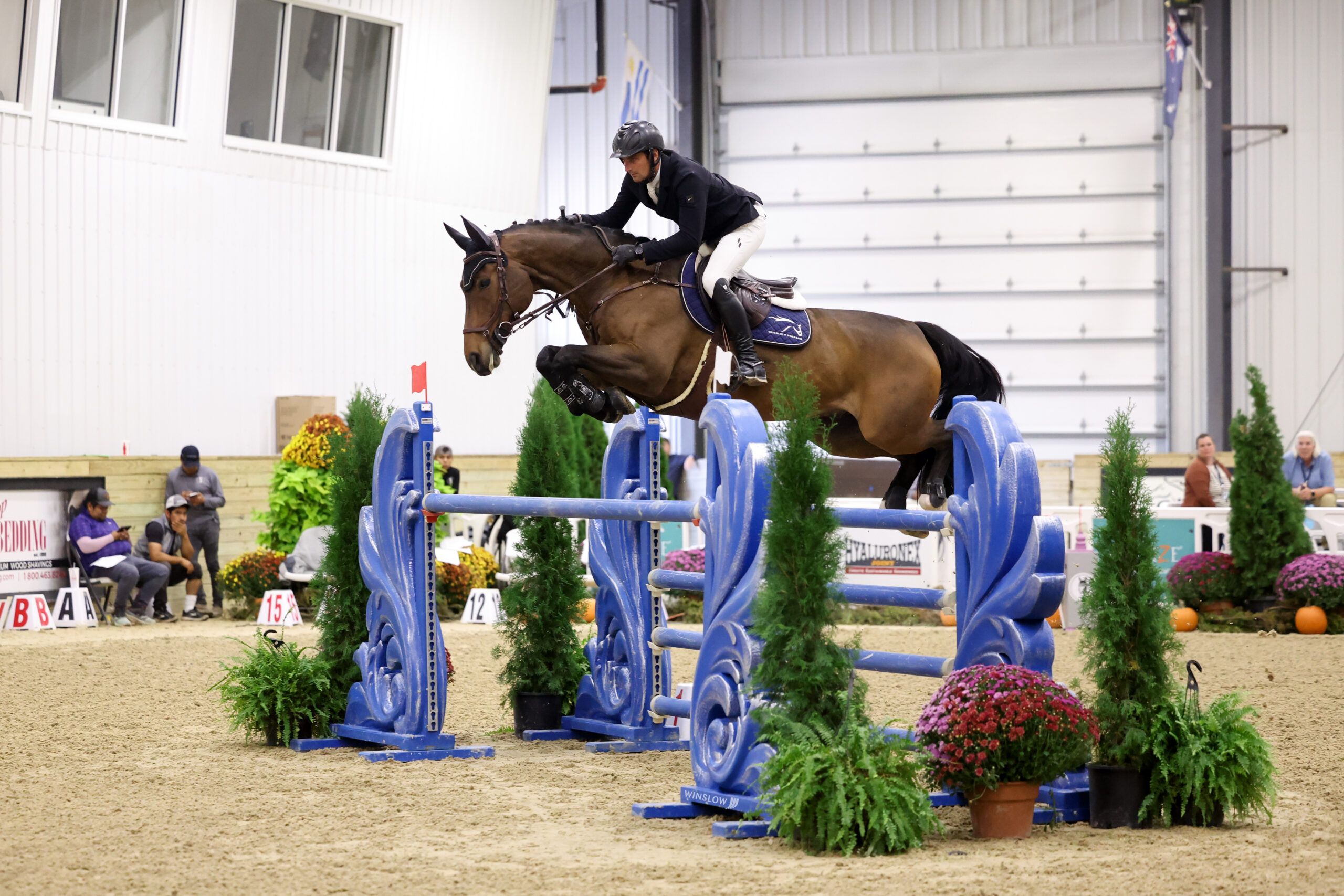 Sam Pegg & Gin Tonic 158 Return to the Top in the $50,000 Grand Prix of ...