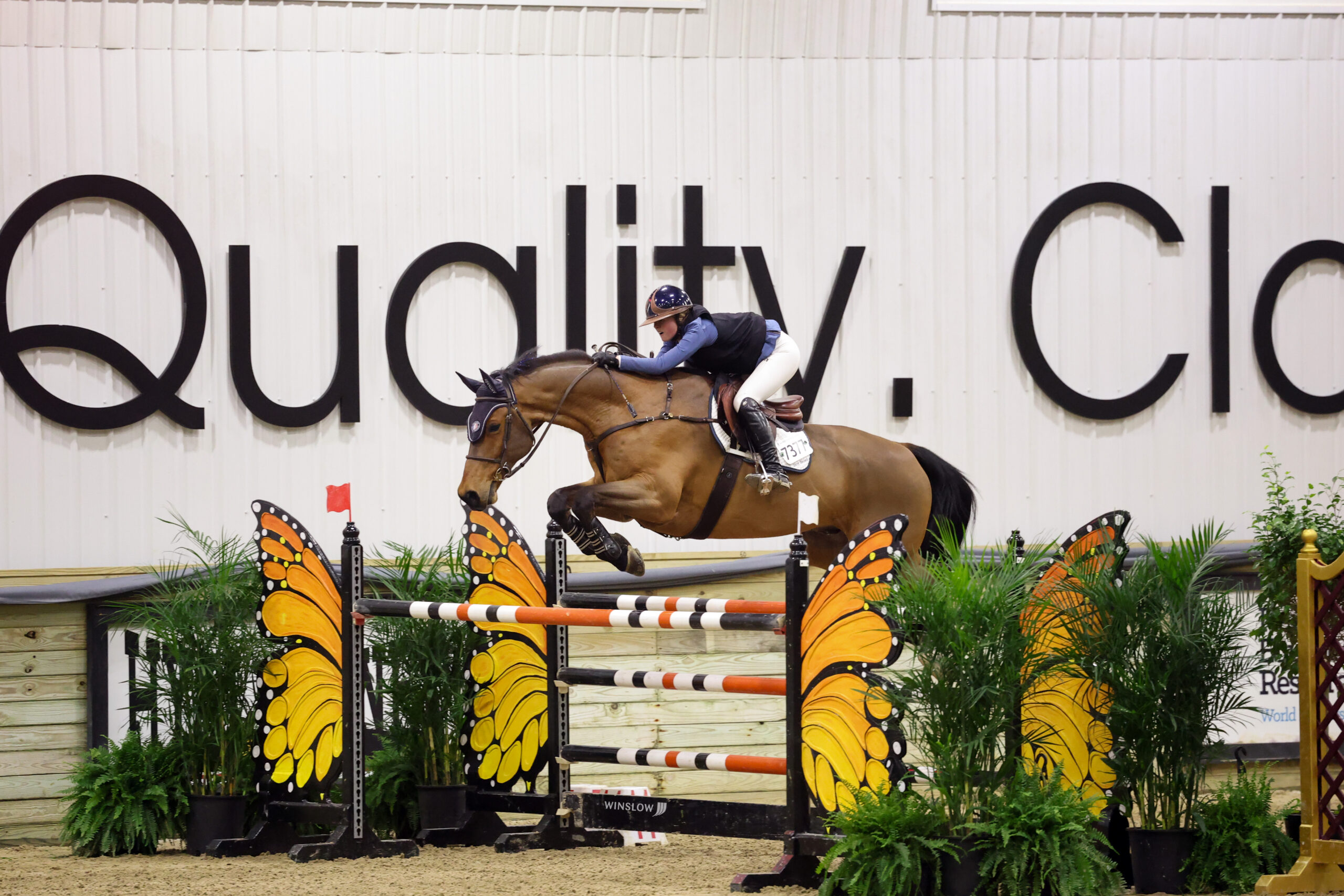 Izzy Beisel Dominates Winter Classic 5 at WEC – Wilmington to Kick Off ...