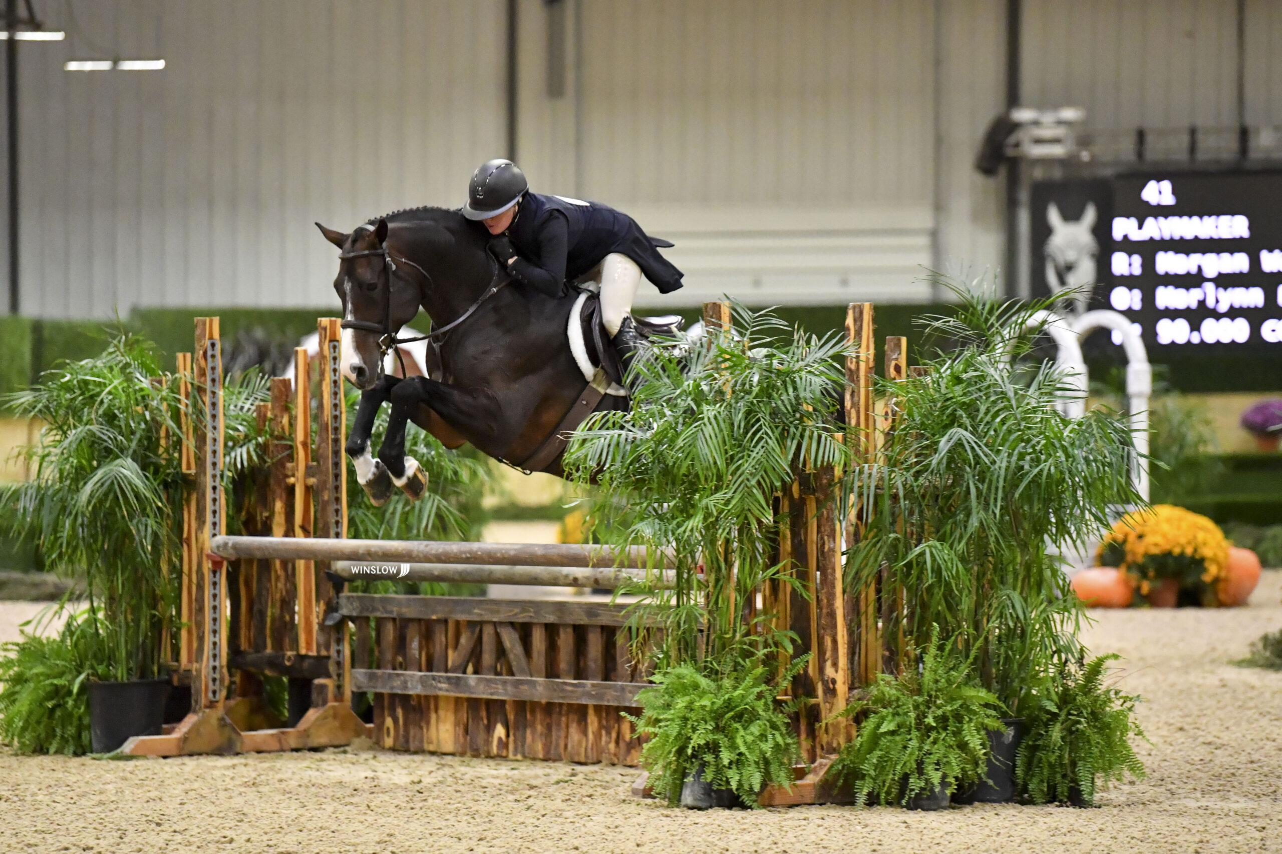 Fall Classic Series | Ocala Horse Shows | World Equestrian Center