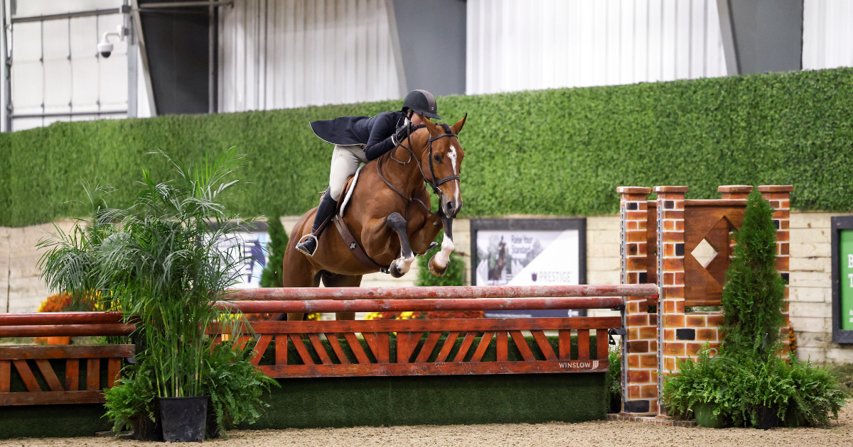 Tyler Petrie & Nostradamus Win First $15,000 USHJA National Open Hunter ...