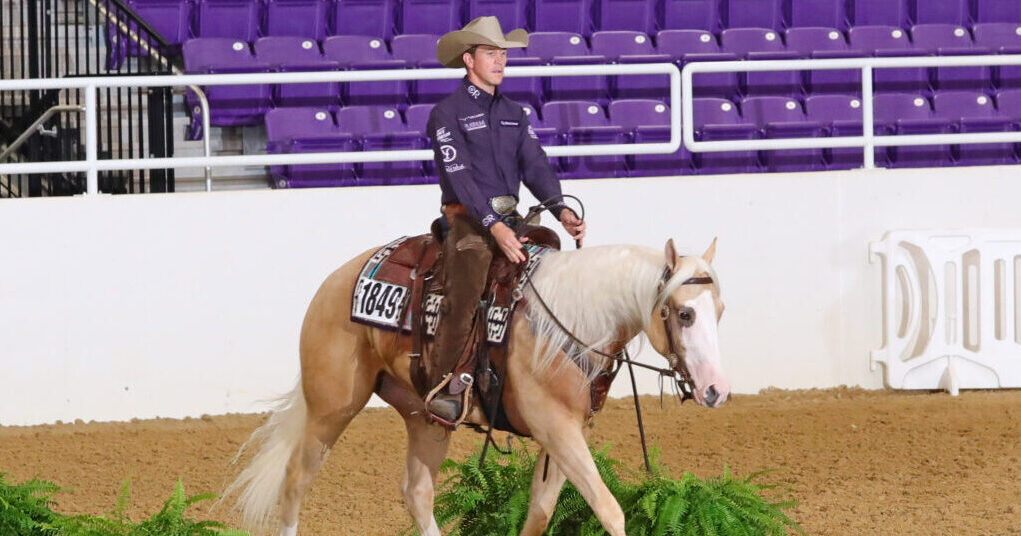 The Championship Show 2025; Wednesday, September 10 Featured Class ...