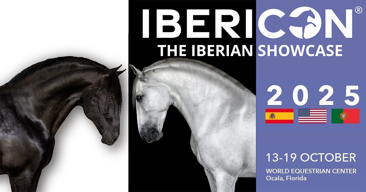 IBERICON Returns to WEC – Ocala with the Iberian Cup | World Equestrian ...