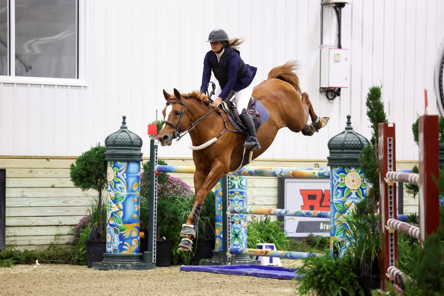 Lisa Goldman-Smolen & Romeo B Dominate $50,000 Top Bedding Grand Prix ...