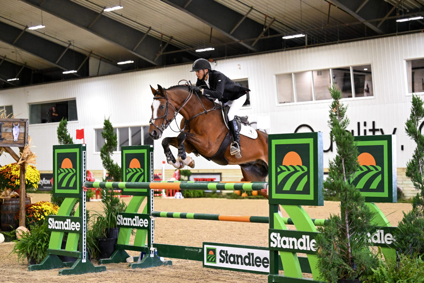 Wilmington Standlee Sunday Spotlight: Cole Jackson | World Equestrian ...