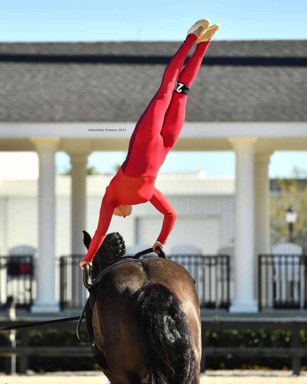 Palmer & Clavijo Win CVI3* at First-Ever WEC Vaulting Premiere | World ...