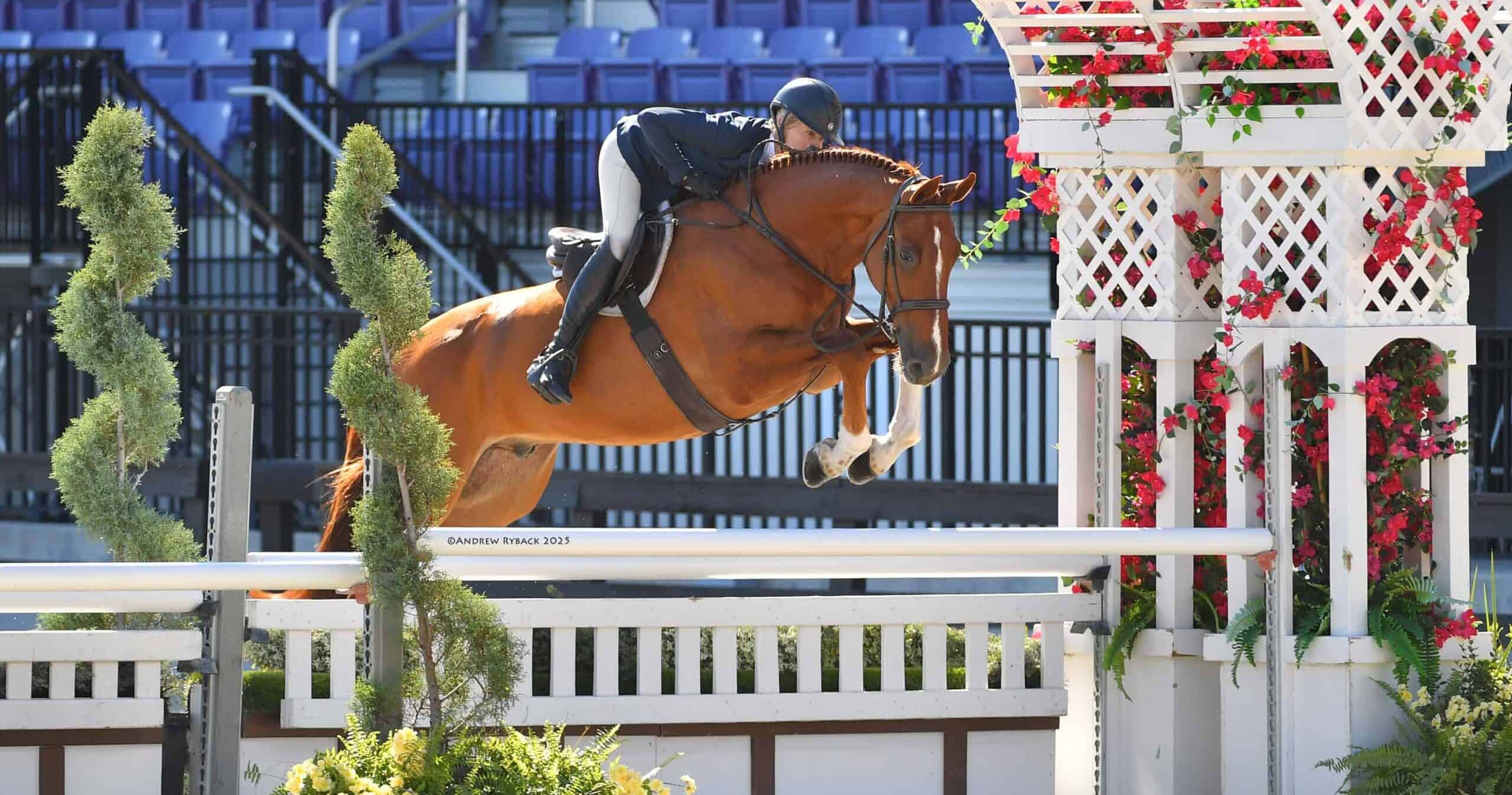 Tracy Fenney & MTM Holding Court Rule in the $7,500 Golden Ocala 3’6”-3 ...