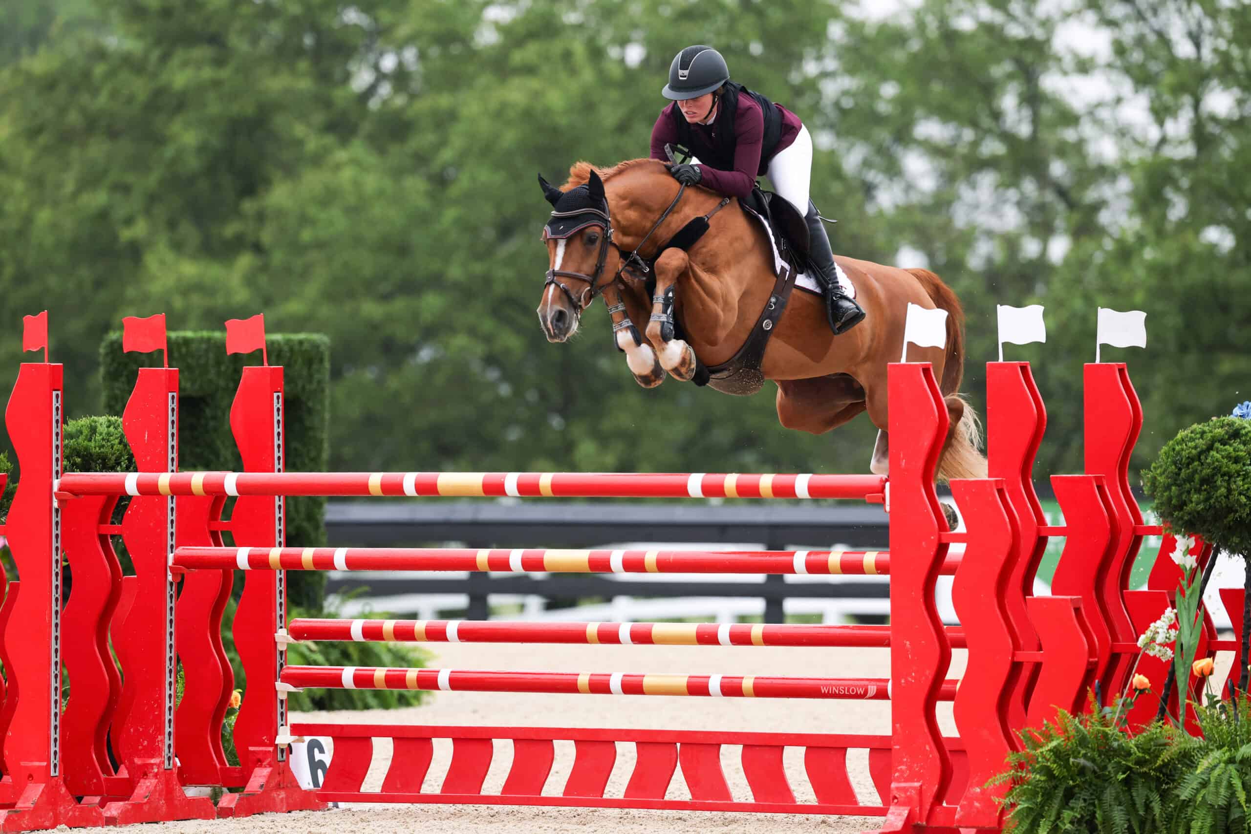2026 Spring/Summer Series - Spring I CSI2* | World Equestrian Center