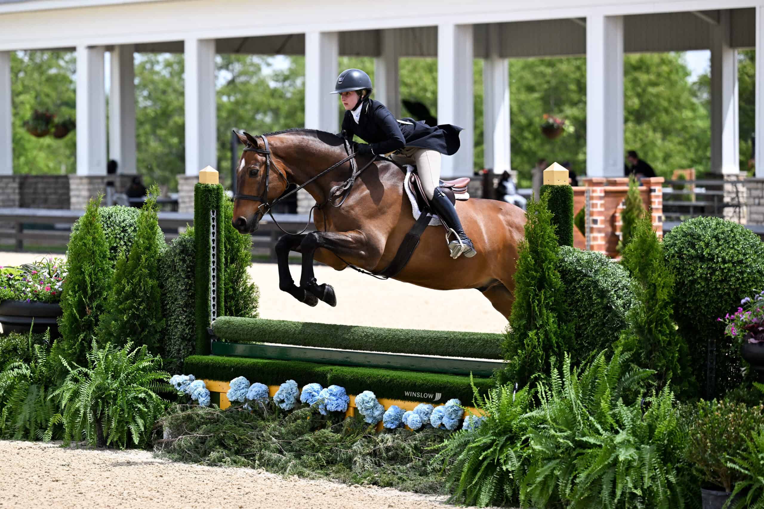2026 Spring/Summer Series - Summer I | World Equestrian Center