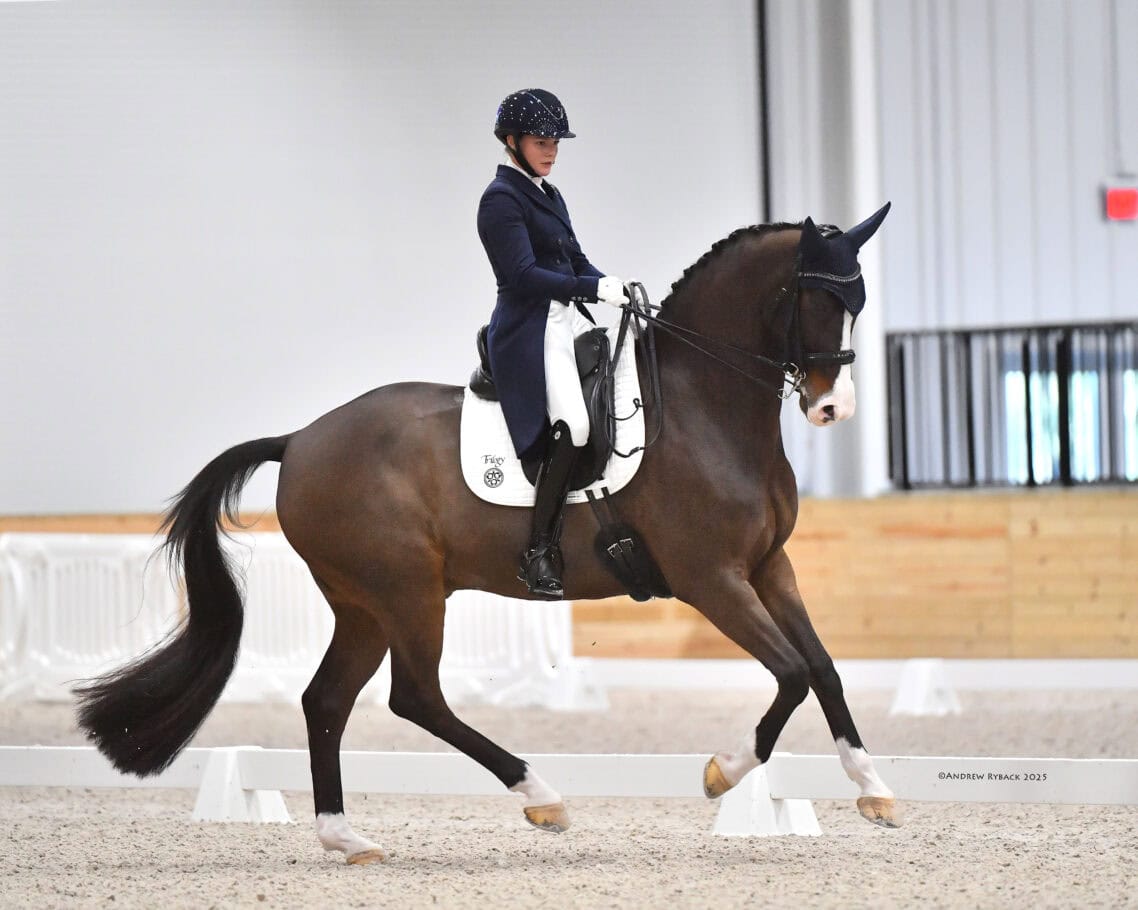 Davis and Toronto Lightfoot Close Out WEC December Dressage with Grand ...
