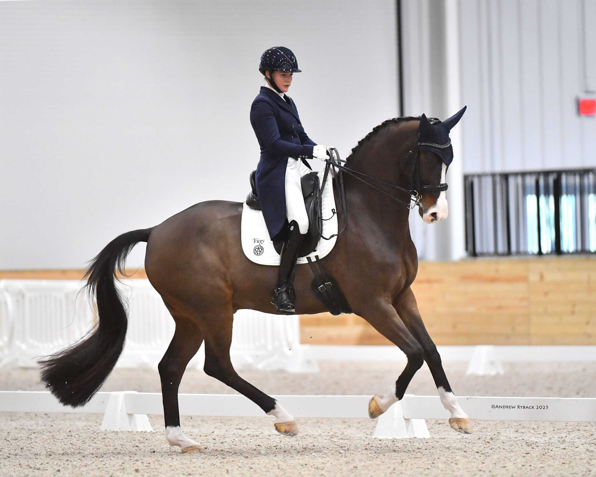 Davis and Toronto Lightfoot Close Out WEC December Dressage with Grand ...