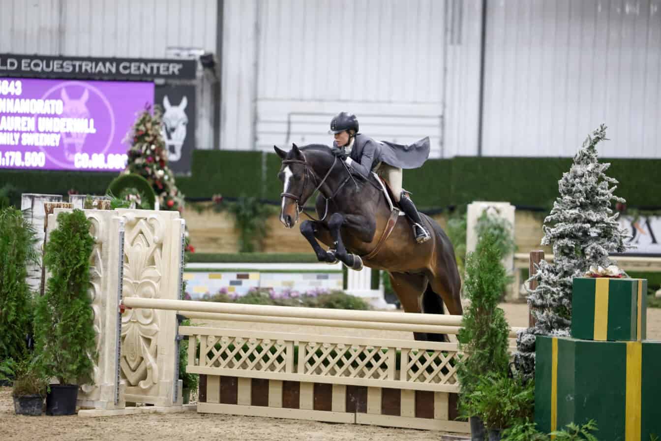Plan Your Winter: Stalls & Entries Open for 2026 Winter in the Midwest ...