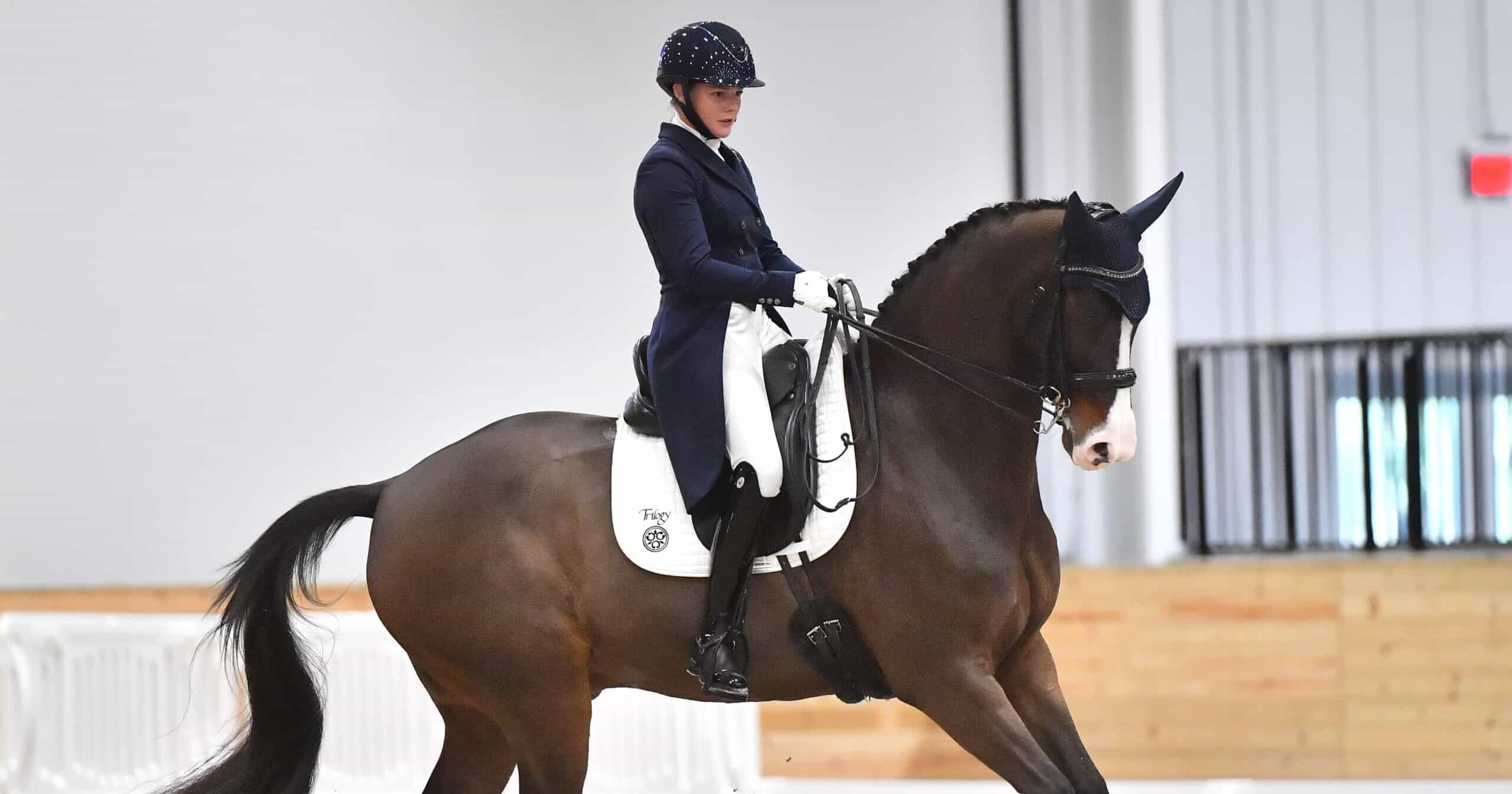 Davis and Toronto Lightfoot Close Out WEC December Dressage with Grand ...