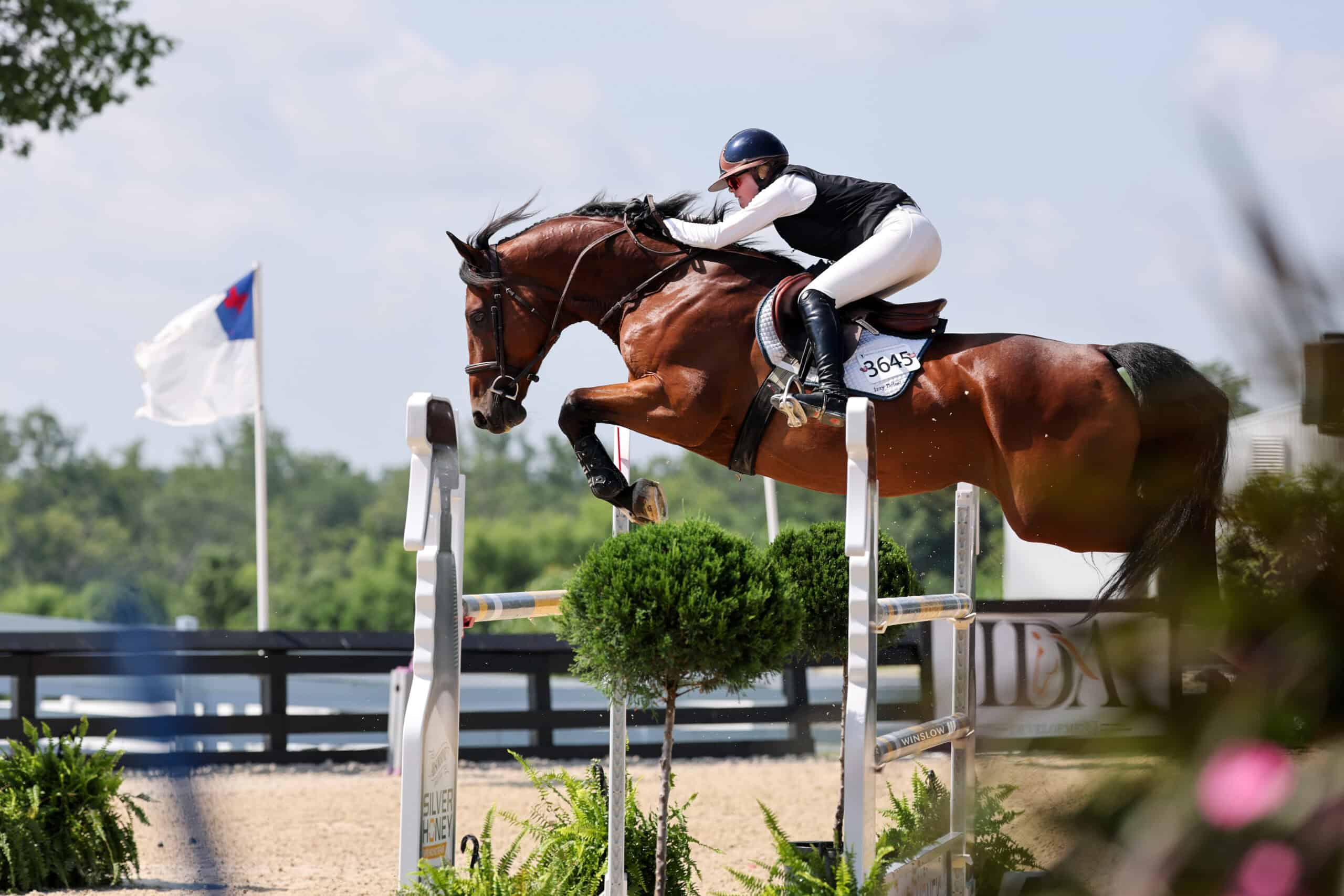 2026 Spring/Summer Series - Summer II | World Equestrian Center