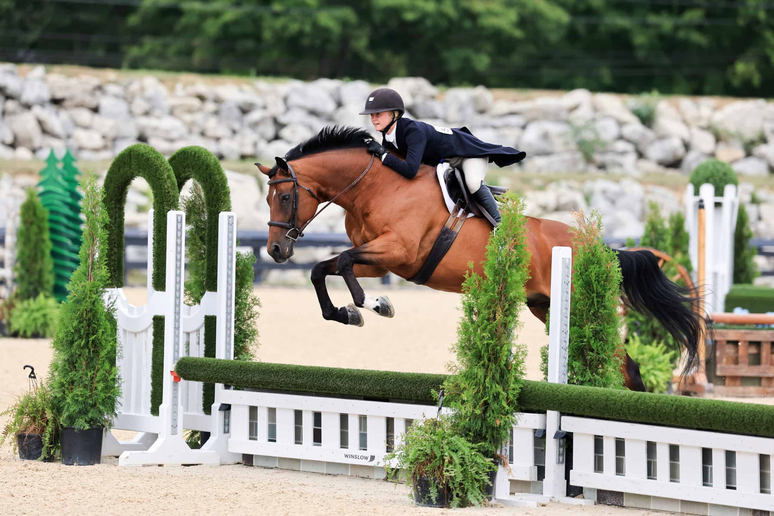 Standlee Schooling Shows Series #3 | World Equestrian Center