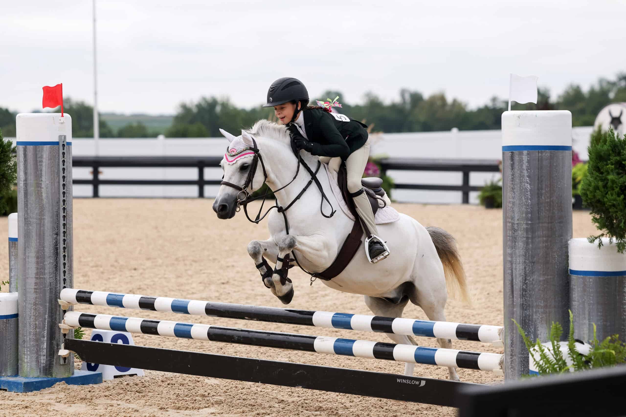 Standlee Schooling Show Series #5 | World Equestrian Center