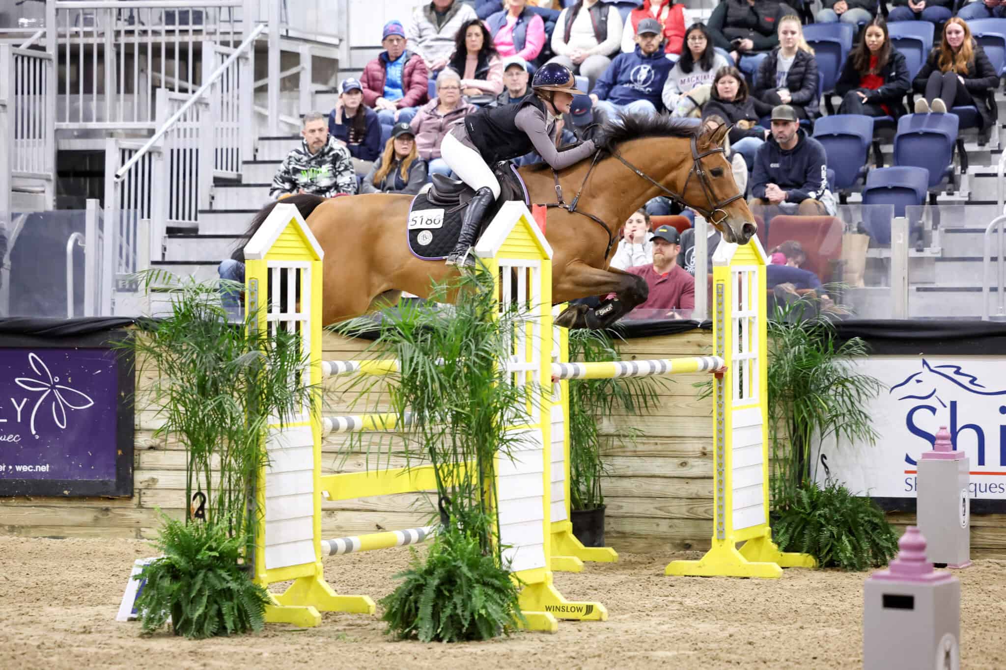Izzy Beisel Stands Alone in the $30,000 Grand Prix of WEC – Wilmington ...