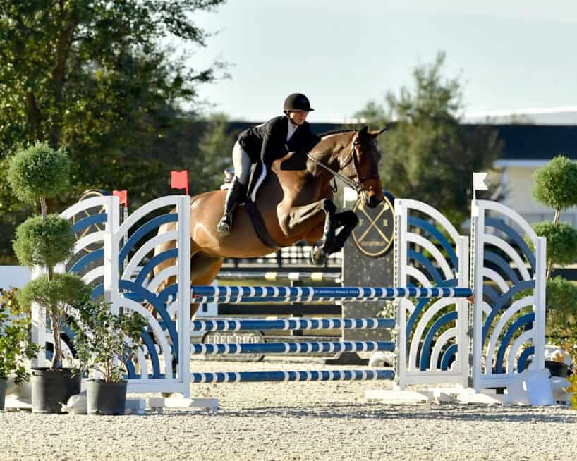 Next Stop for Hailey Fox: WEC Premier Equitation Cup Championship ...