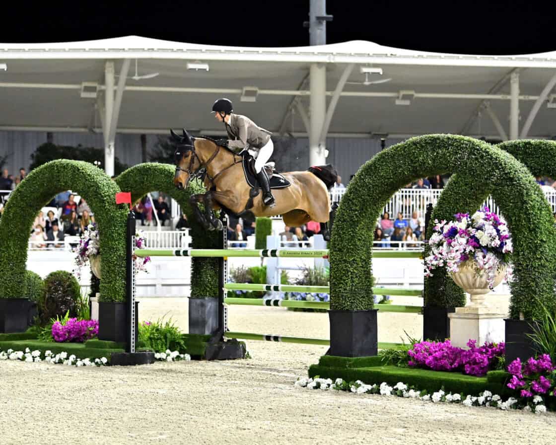 Lauren Balcomb & Verdini D’houtveld Z Reach a New Altitude in the ...