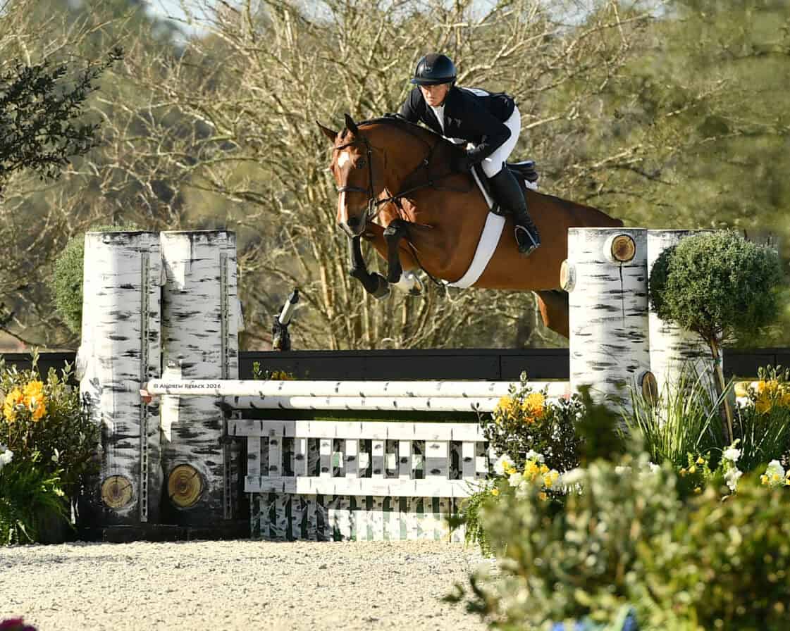 Katherine Addington & No Doubt Van Het Vlierhof Come Out on Top in the ...