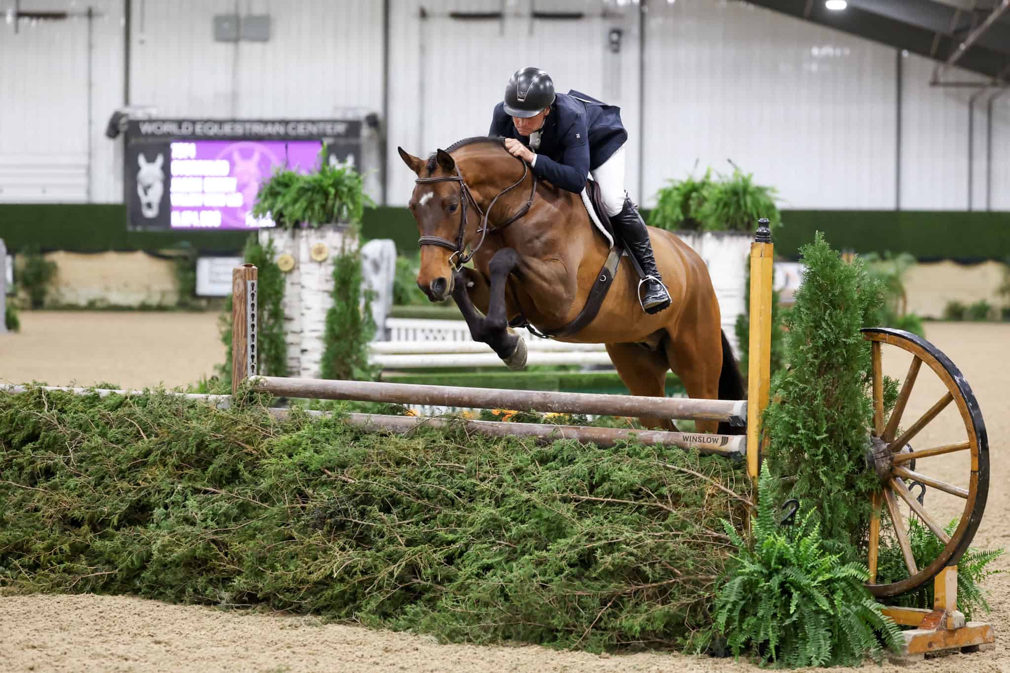 Jason Berry & Overruled Are Near Perfect to Win the $15,000 USHJA ...