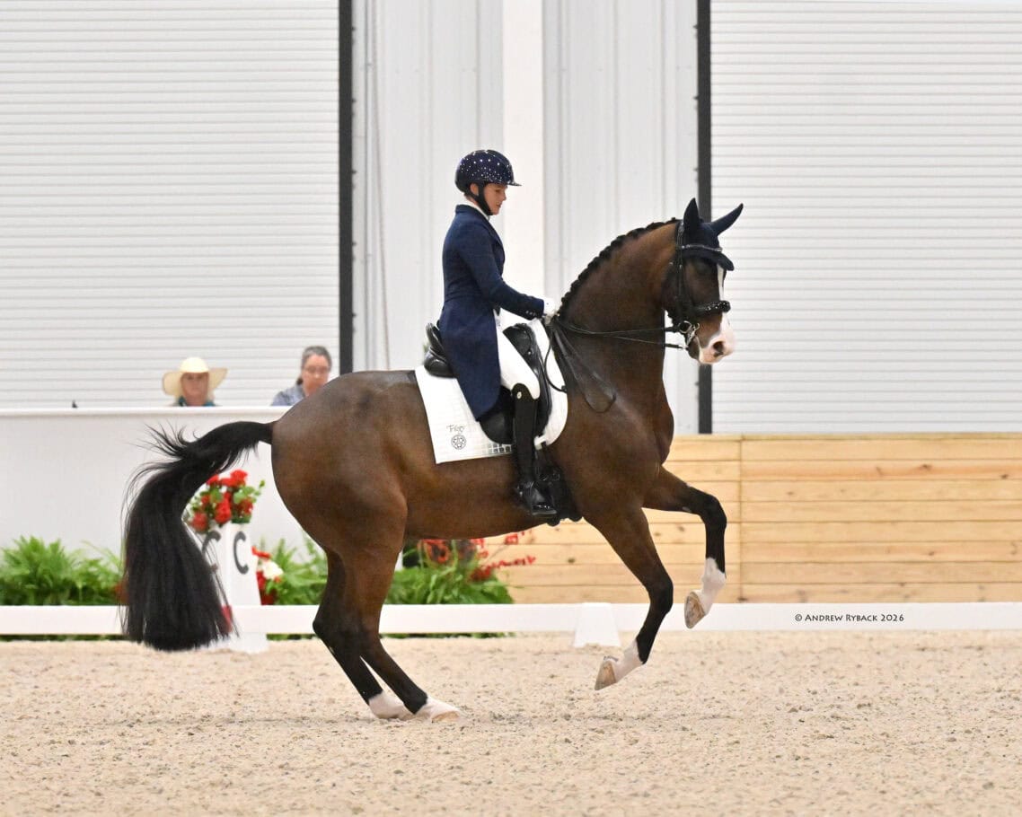 WEC February Dressage CDI3* Opens with Victories for Kelly-Baxley and ...