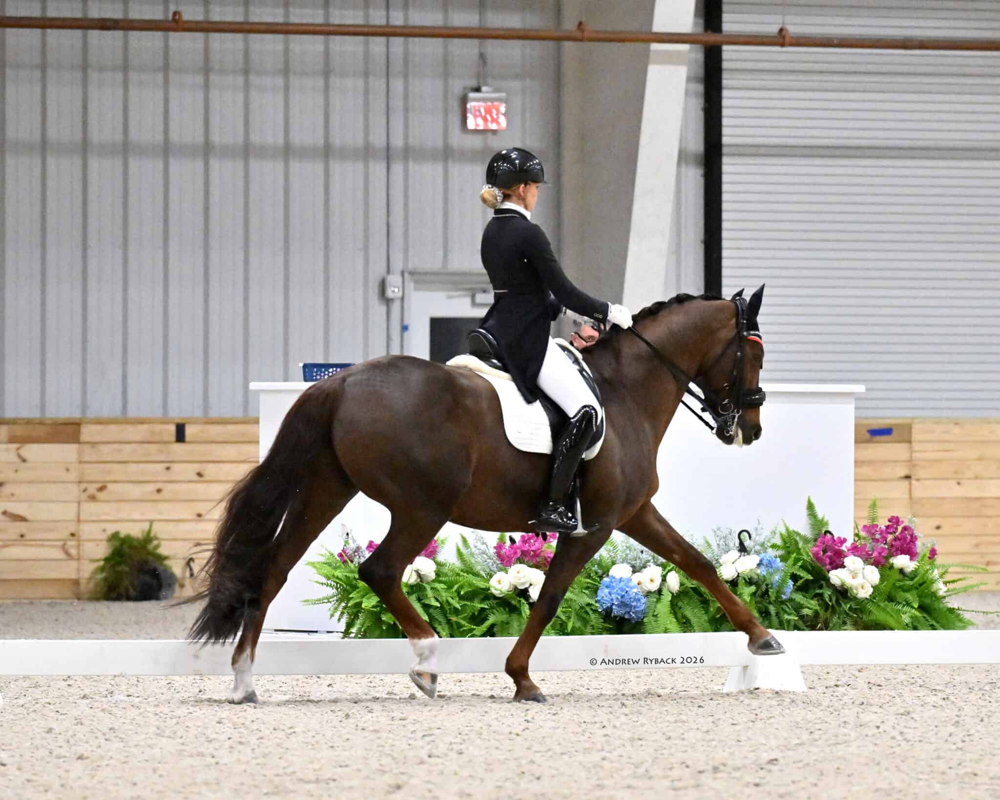 Osborne Scores Second Grand Prix Freestyle CDI3* Victory During WEC ...
