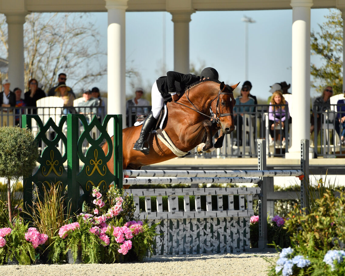 Evan Coluccio Introduces Another New Mount to the Winner’s Circle in ...