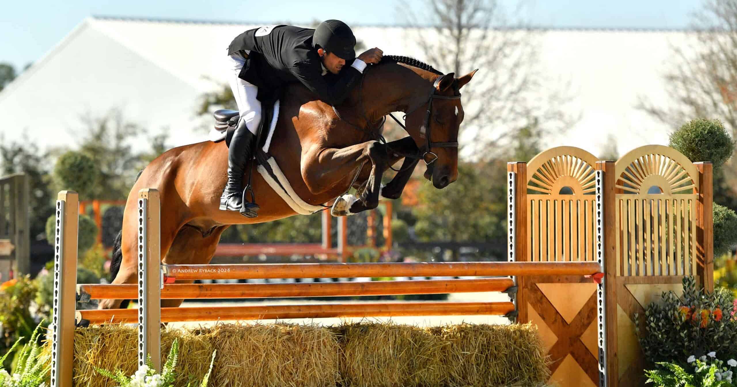 Evan Coluccio Introduces Another New Mount to the Winner’s Circle in ...