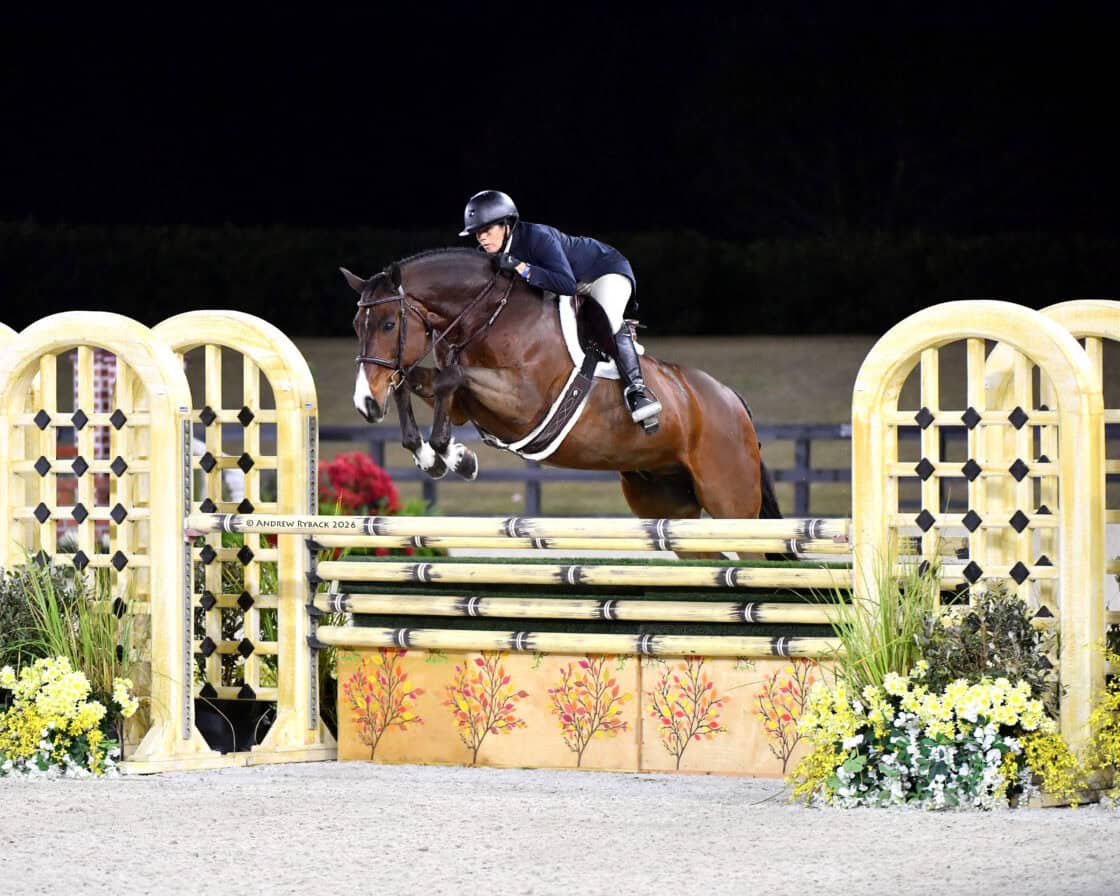 Amanda Steege & Lafitte De Muze Rise to $75,000 MARS Equestrian USHJA ...