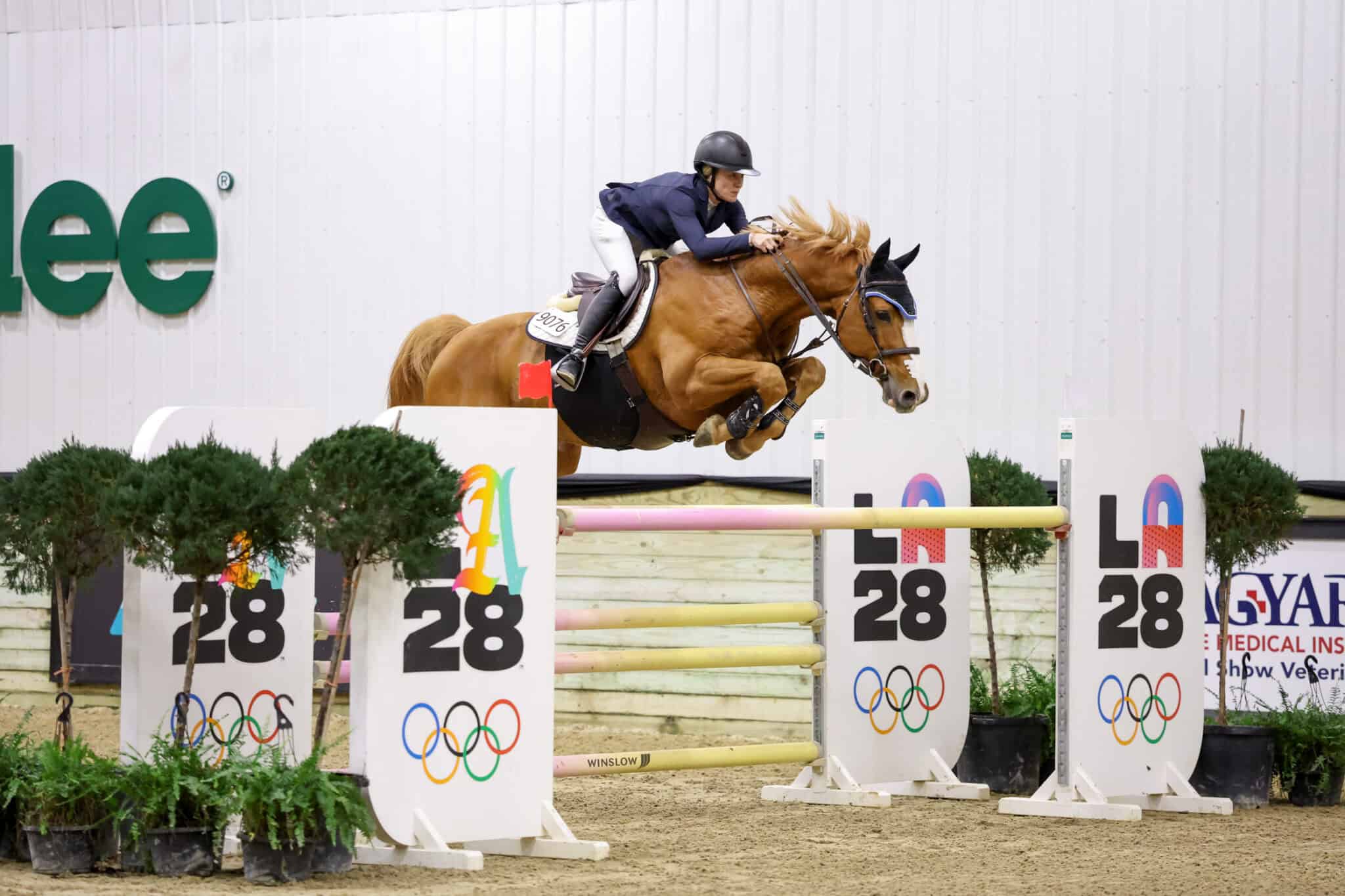 Amanda Harris & VDL Maverick Score First $30,000 Shires Equestrian ...
